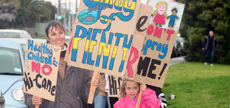 SunLive - Hi-Cane demo at Zespri - The Bay's News First