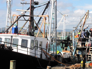 SunLive - Mayday at Motiti - The Bay's News First