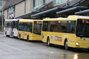 SunLive - Buses on the up and up - The Bay's News First