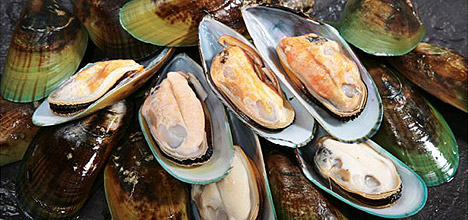 SunLive - Shellfish still poisonous - The Bay's News First
