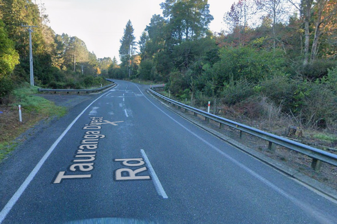 SunLive - New $10m bridge planned for key SH36 route - The Bay's News First