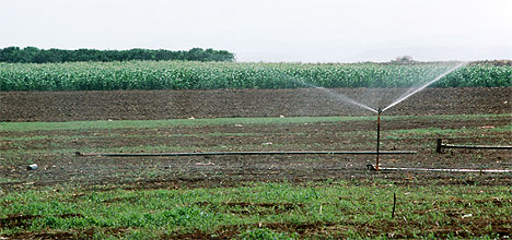 SunLive - Bay irrigation scheme gets $181,000 - The Bay's News First