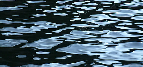 SunLive - Lake Okaro on the mend - The Bay's News First