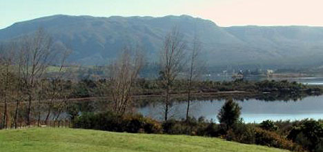 SunLive - Farmers work together to save lake - The Bay's News First