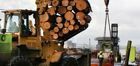 SunLive - Log loader catches fire at port - The Bay's News First