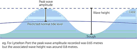 SunLive - NIWAâ€™s tsunami measuring precise - The Bay's News First
