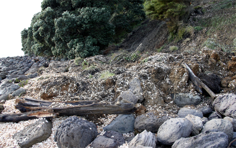 SunLive - Heavy rain causes new Mauao slips - The Bay's News First
