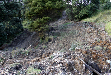 SunLive - Heavy rain causes new Mauao slips - The Bay's News First