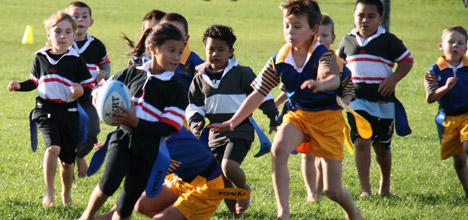 SunLive - Excitement mounts for Rippa Rugby - The Bay's News First