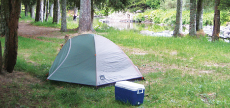 SunLive - Dickey Flat upgrade success - The Bay's News First