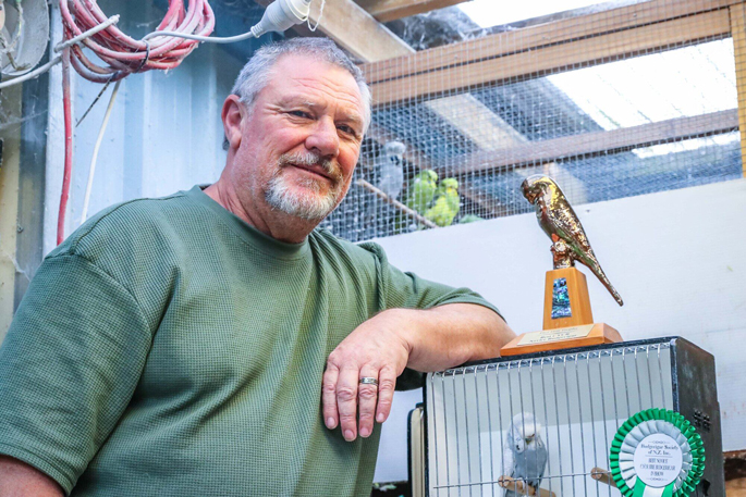 SunLive - Award-winning budgie breeder set for Tauranga show - The Bay ...