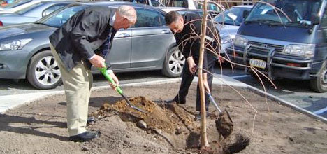 SunLive - Tree societyâ€™s work recognised - The Bay's News First