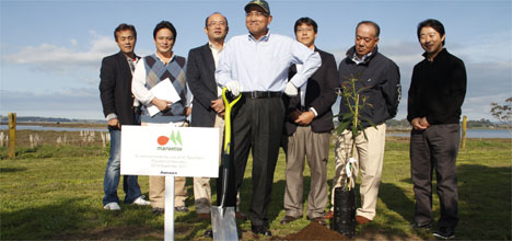 SunLive - Teaching Japanese to eat avos - The Bay's News First