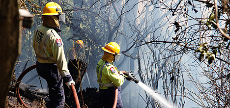SunLive - Two scrub fires in 24 hours - The Bay's News First
