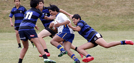 SunLive - Sevens rugby at Te Puna - The Bay's News First