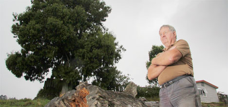 SunLive - Crooked deal costs the family farm - The Bay's News First