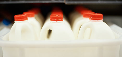 SunLive - Grocer signs deal to offer cheap milk - The Bay's News First