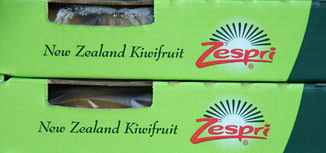SunLive - World first for Zespri - The Bay's News First