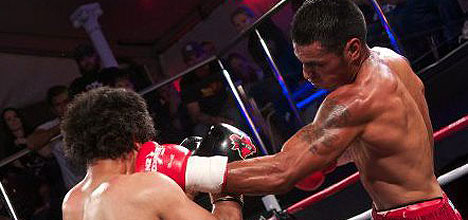 SunLive - Gunnar in the ring - The Bay's News First