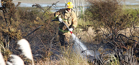 SunLive - Grass fire warning - The Bay's News First