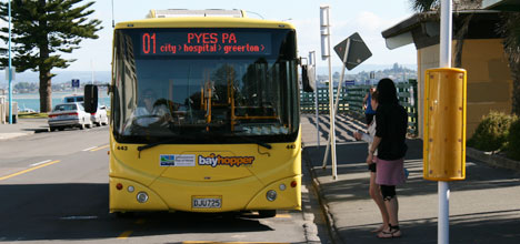 SunLive - Bay Hopper hits record numbers - The Bay's News First