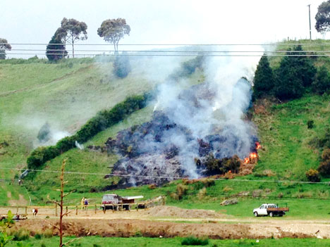 SunLive - Scrub fire burns off expressway - The Bay's News First