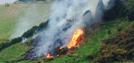 SunLive - Scrub fire burns off expressway - The Bay's News First