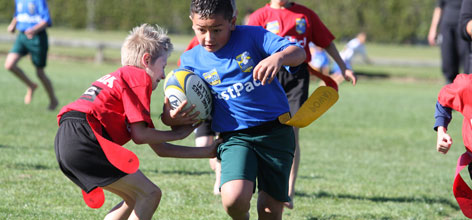 SunLive - Schools share rippa rugby glory - The Bay's News First