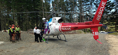 SunLive - Worker injured in forestry accident - The Bay's News First