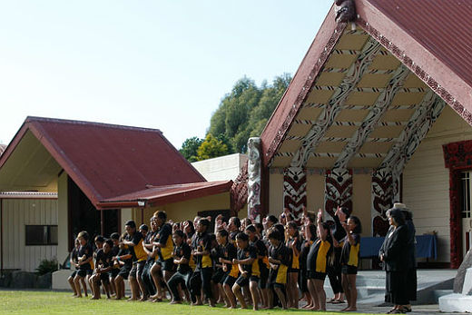 SunLive - Maori farming accelerating - The Bay's News First