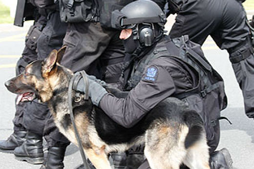 SunLive - Police teams vie for top honours - The Bay's News First