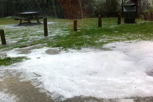 SunLive - Hail storm marks cold snap - The Bay's News First