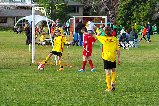 SunLive - Football fun at Fergusson Park - The Bay's News First