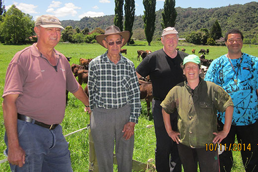 SunLive - Confidence growing in valley - The Bay's News First