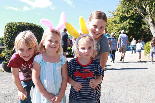 SunLive - Easter chaos at Grower Direct - The Bay's News First