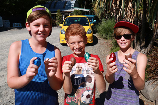 SunLive - Easter chaos at Grower Direct - The Bay's News First