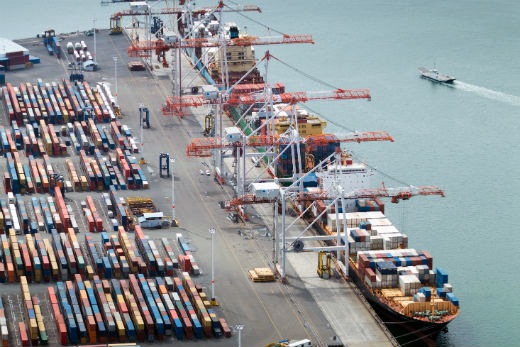 SunLive - Soft landing for container rules - The Bay's News First