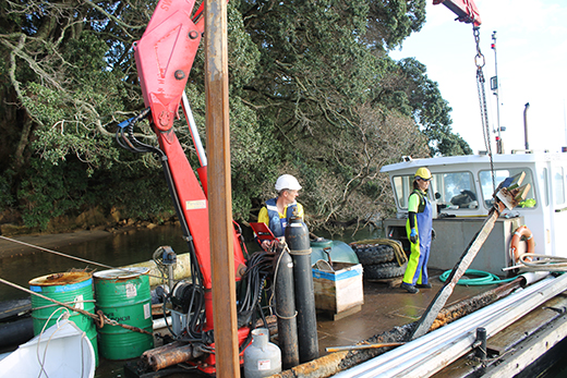 SunLive - Barge extracts jetty piles - The Bay's News First