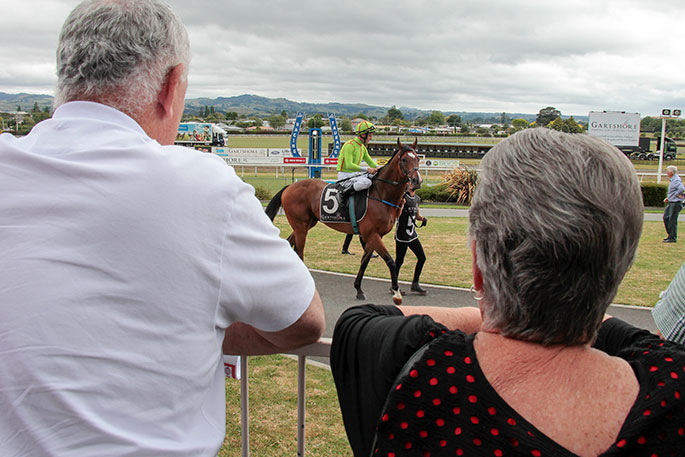 SunLive - Racing fun for all at Tauranga - The Bay's News First