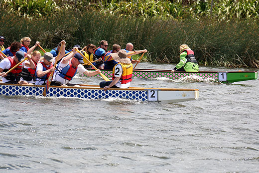 SunLive - Dragon Boat capsizes in harbour - The Bay's News First