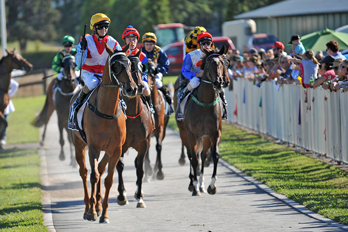 SunLive - A day at the races this weekend - The Bay's News First