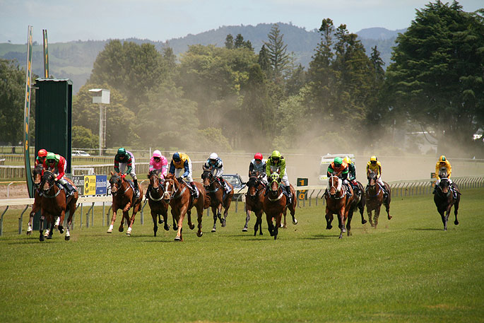 SunLive - Race tracks facing the chopping block - The Bay's News First