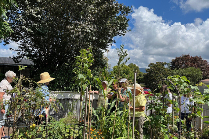 SunLive - Scarecrow contest and garden safari inspire - The Bay's News ...