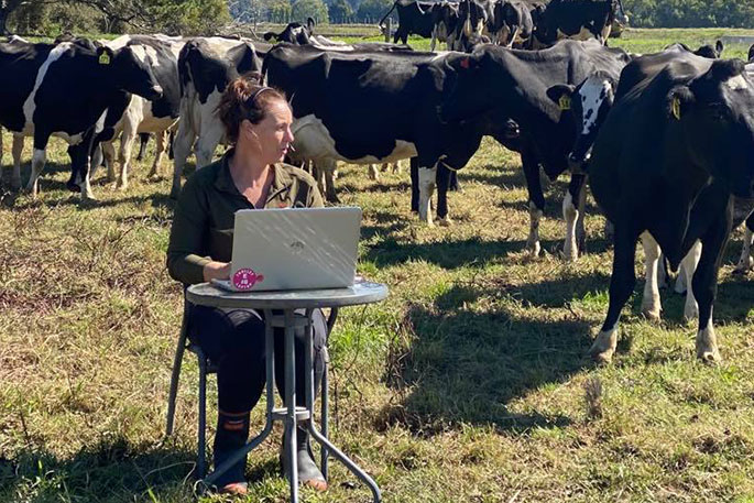 SunLive - Videos help teach farming skills in lockdown - The Bay's News ...