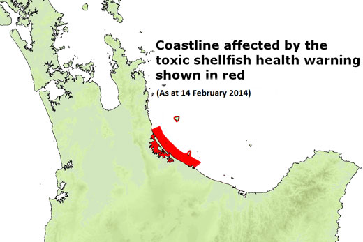 SunLive - Toxic shellfish levels drop - The Bay's News First