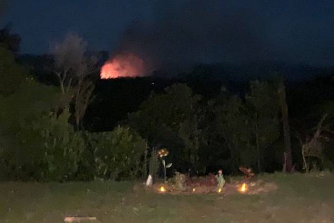 SunLive - Large scrub fire in Western Bay - The Bay's News First