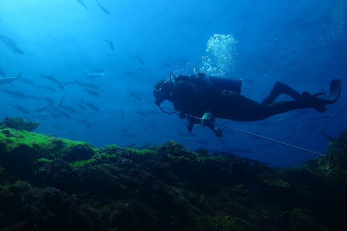 SunLive - Major marine conference heading to Tauranga - The Bay's News ...