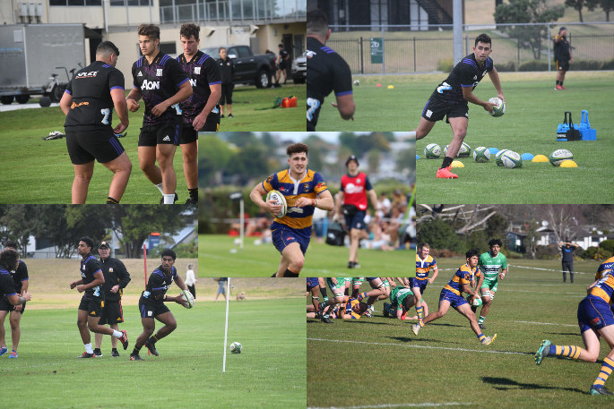 SunLive - Steamers call-ups for rising stars - The Bay's News First