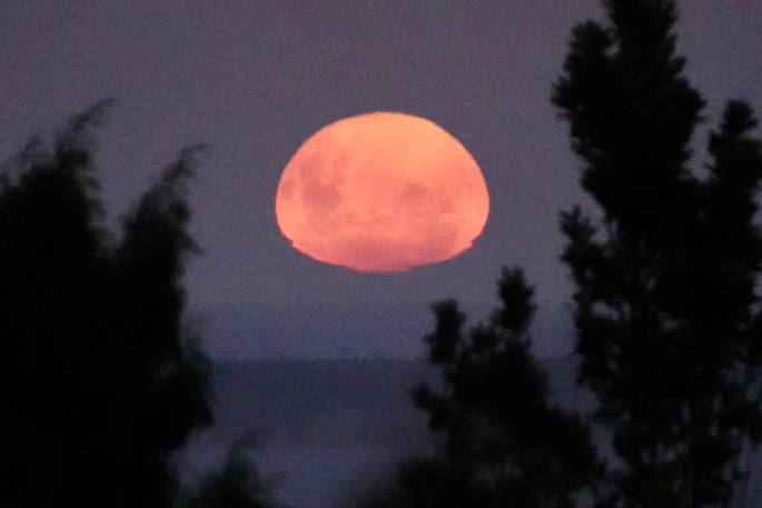 SunLive - Moon’s full glory captured on camera - The Bay's News First