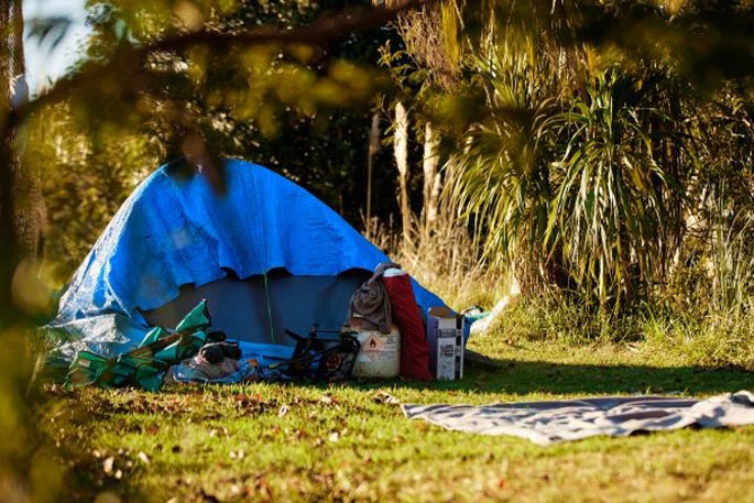 SunLive - Digital dashboard to access homeless information - The Bay's ...